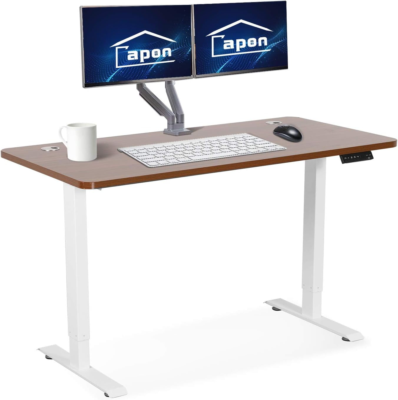 Electric Standing Desk, 55x 28 Inches Adjustable Height Dual Motor ...