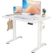 CONCETTA Electric Adjustable Height Standing Desk - 55 x 24 inch Sit to ...