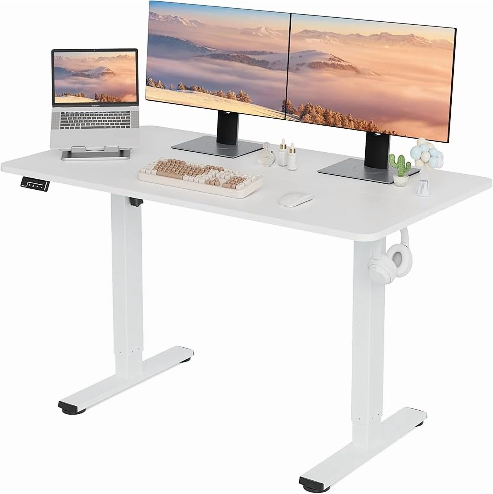 Electric Standing Desk Adjustable Height, 40x24 Inches Sit Stand up ...