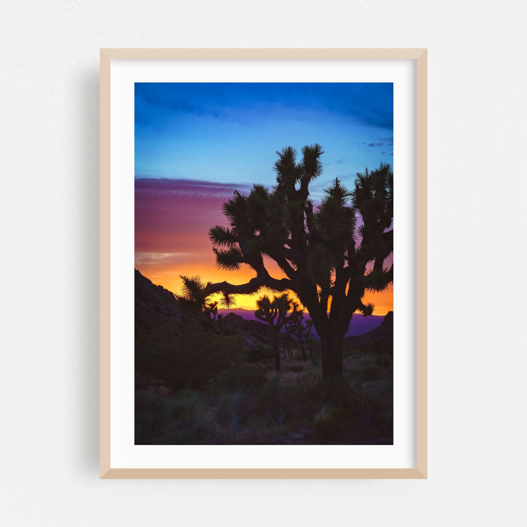 Electric Sunset in Joshua Tree National Park - Joshua Tree California ...