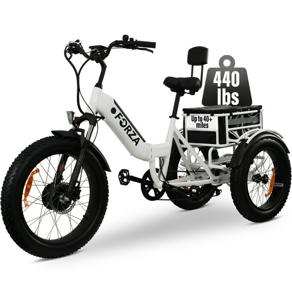 Electric Trike