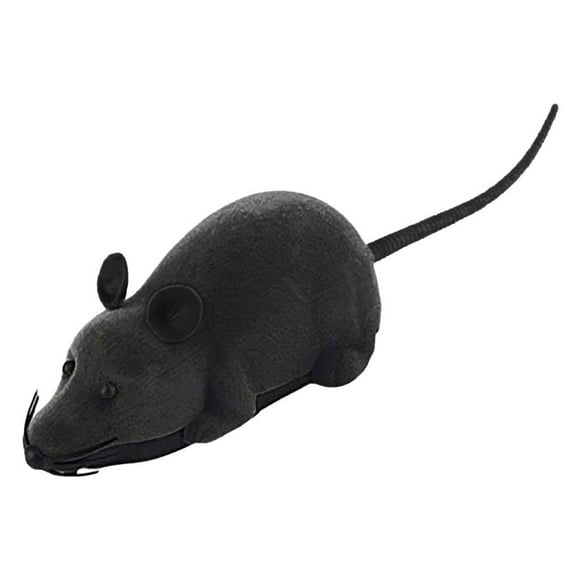Toy Mouse That Moves