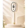 Electric spray air cushion massage comb, Self-Cleaning Anti-Tangle Hair ...