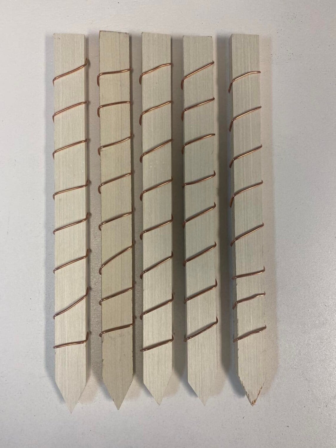 Electro-Culture - Electroculture Stake Yield Growth Booster for Rapid ...