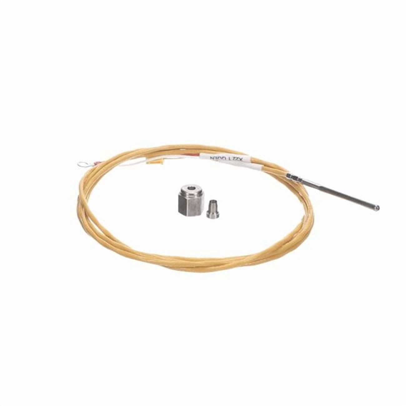 Electrolux Professional 0CK858 Temperature Sensor & Probe - Walmart.com