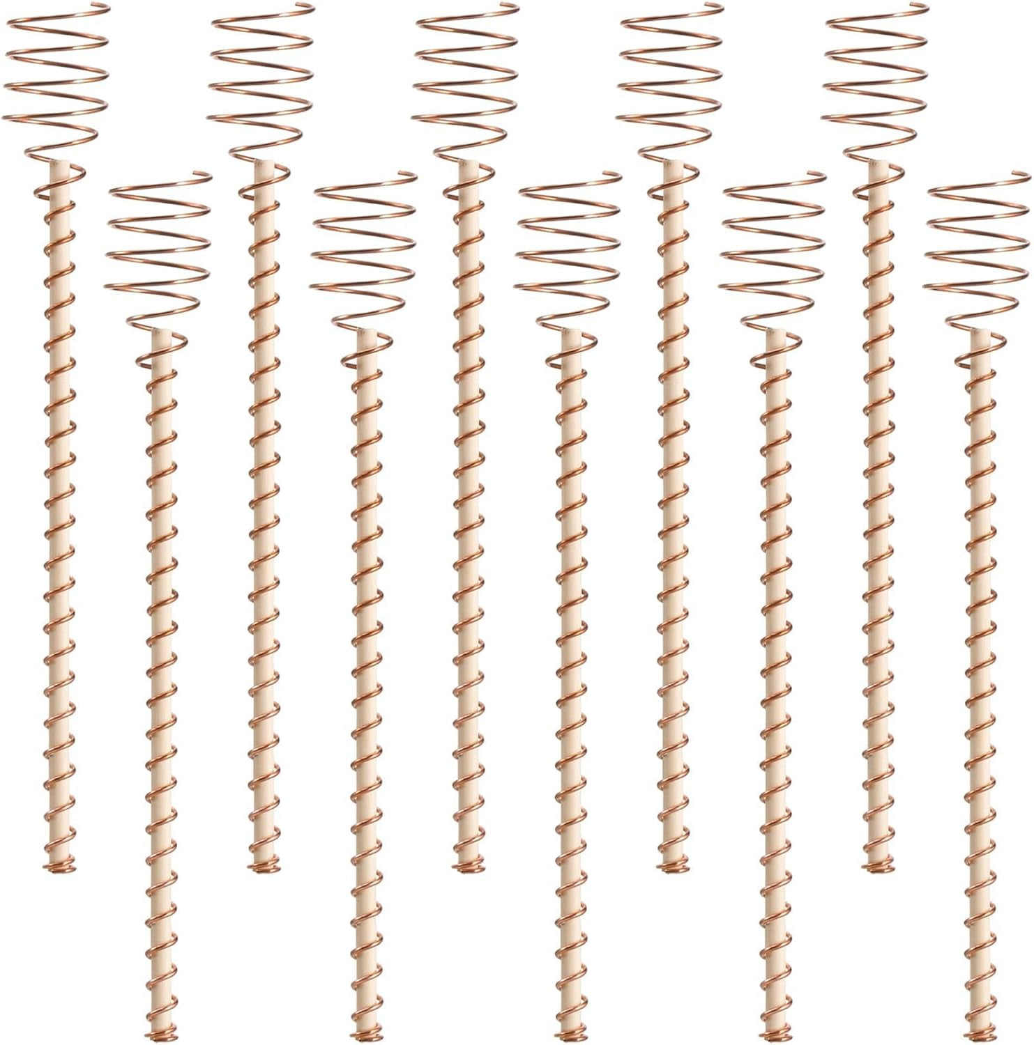 Electrolysis Plant Stake Garden Electric Cultivation Copper Coil Plant ...