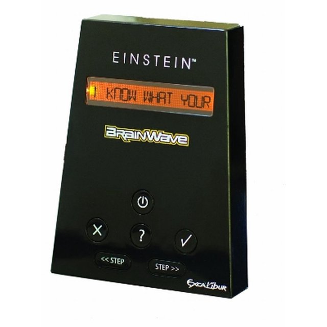 Electronic Handheld Einstein Brain Games Brain Wave 20 Questions Game ...
