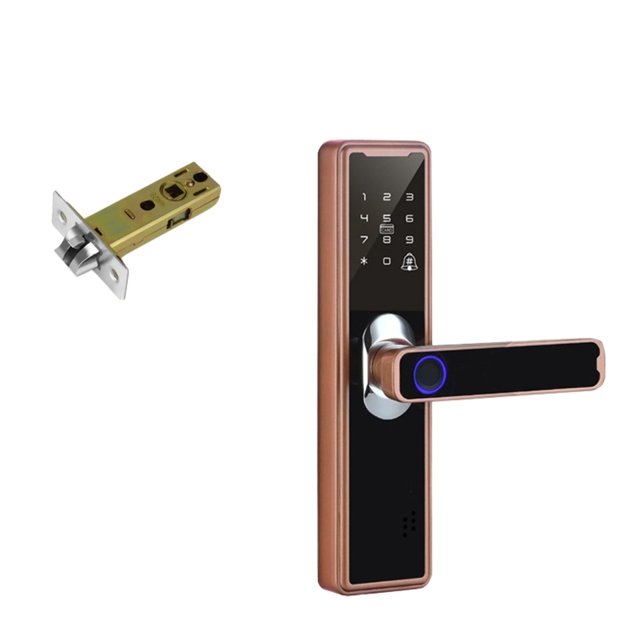 Electronic Lock for Tuya Biometric Fingerprint handle Tuya Smart Home ...