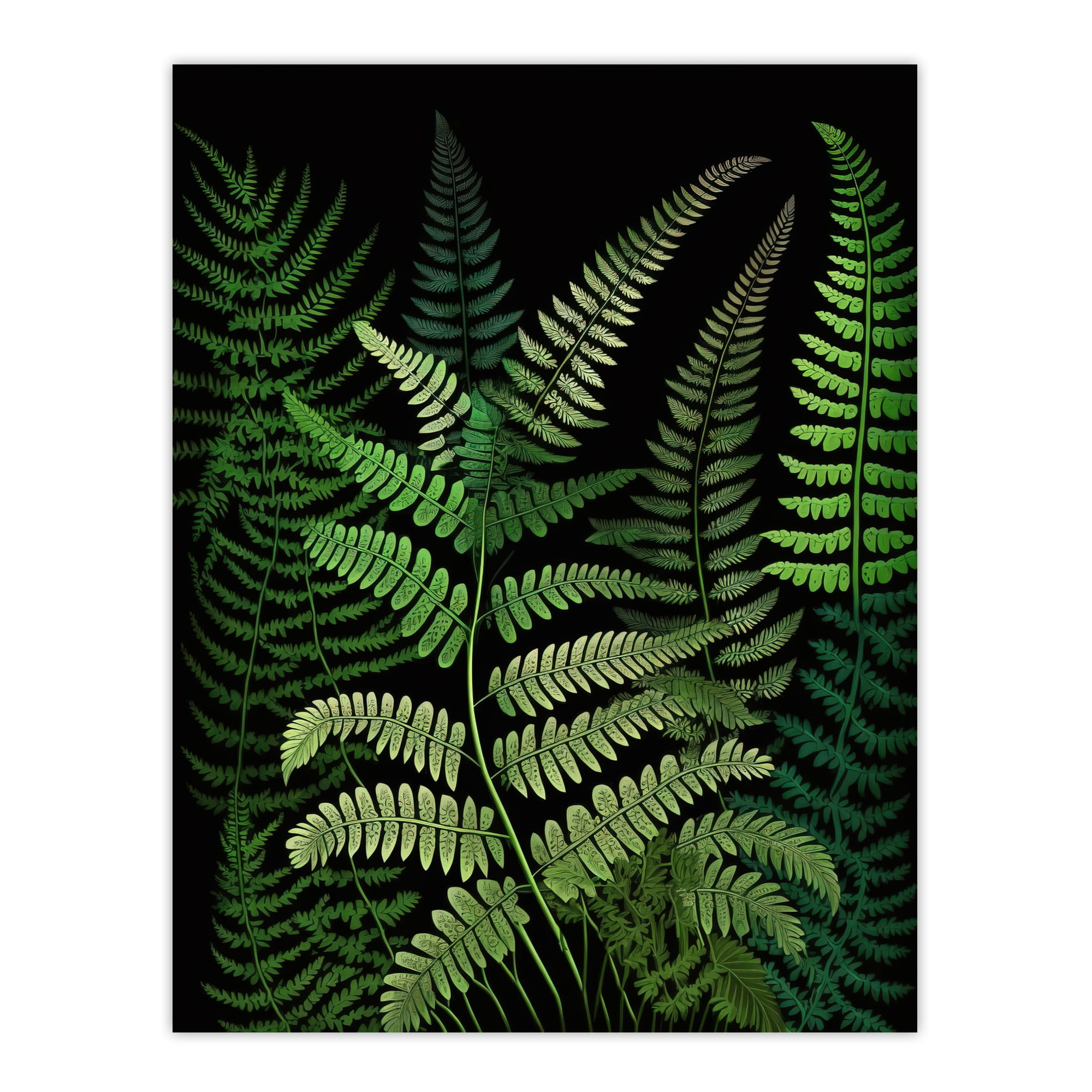 Elegant Botanical Nature Foliage Artwork Fern Fronds Green on Black ...