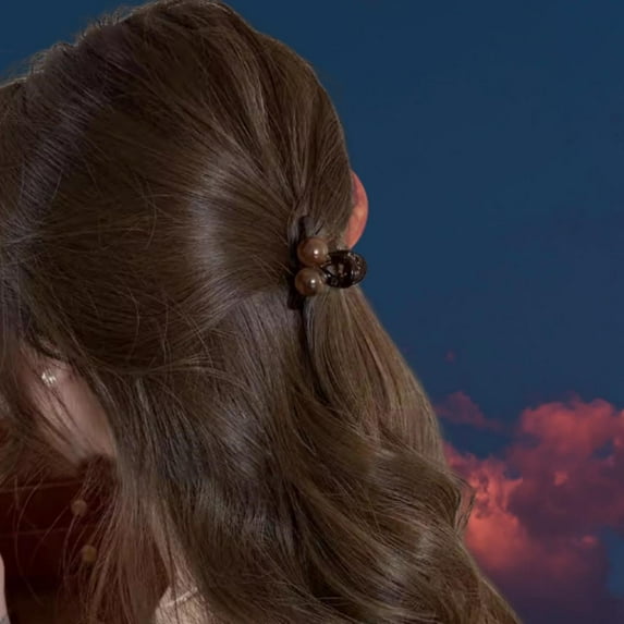 Elegant Brown Small Hairpin Half Updo Back Headpiece Shawl Hair ...