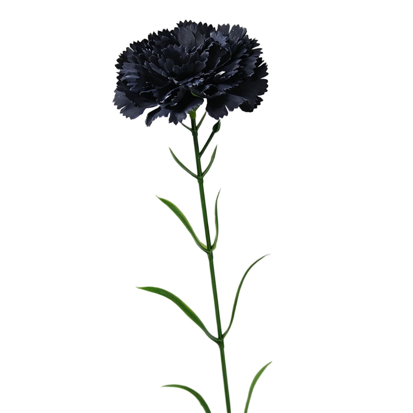 Elegant Champagne Carnations – 20 Inch Lifelike Stem Silk Flowers for ...