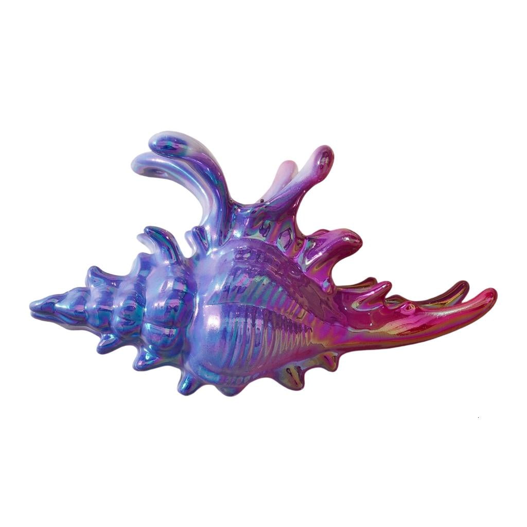 Elegant Conch Shaped Acrylic Hair Clip for Women Multiple Color ...