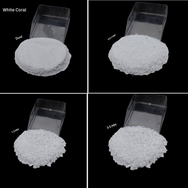 Elegant Crushed White Coral Gemstone Coarse All Size Raw Coral ...