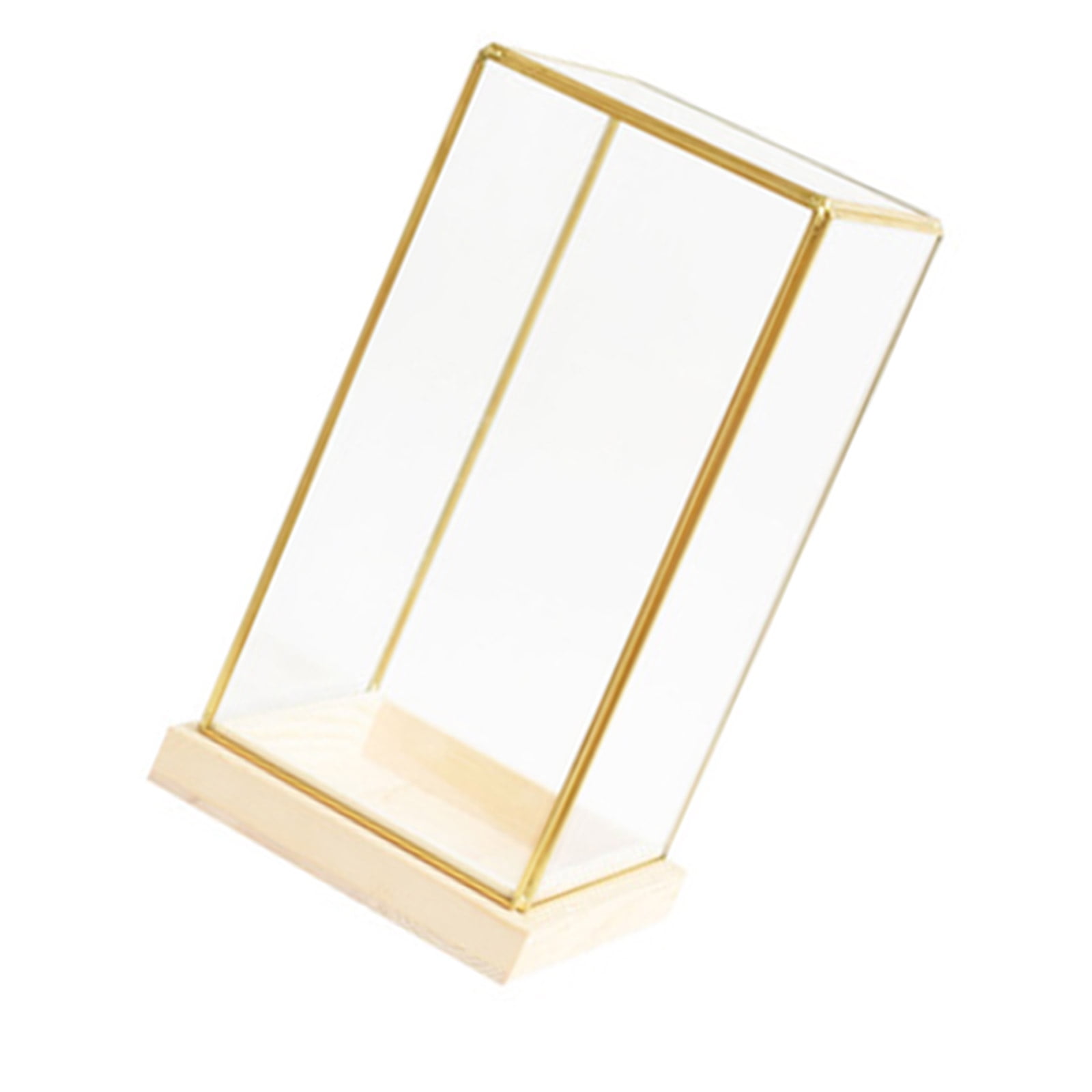 Elegant Display Case for Collectibles Assemble Clear Covers Brass Frame ...