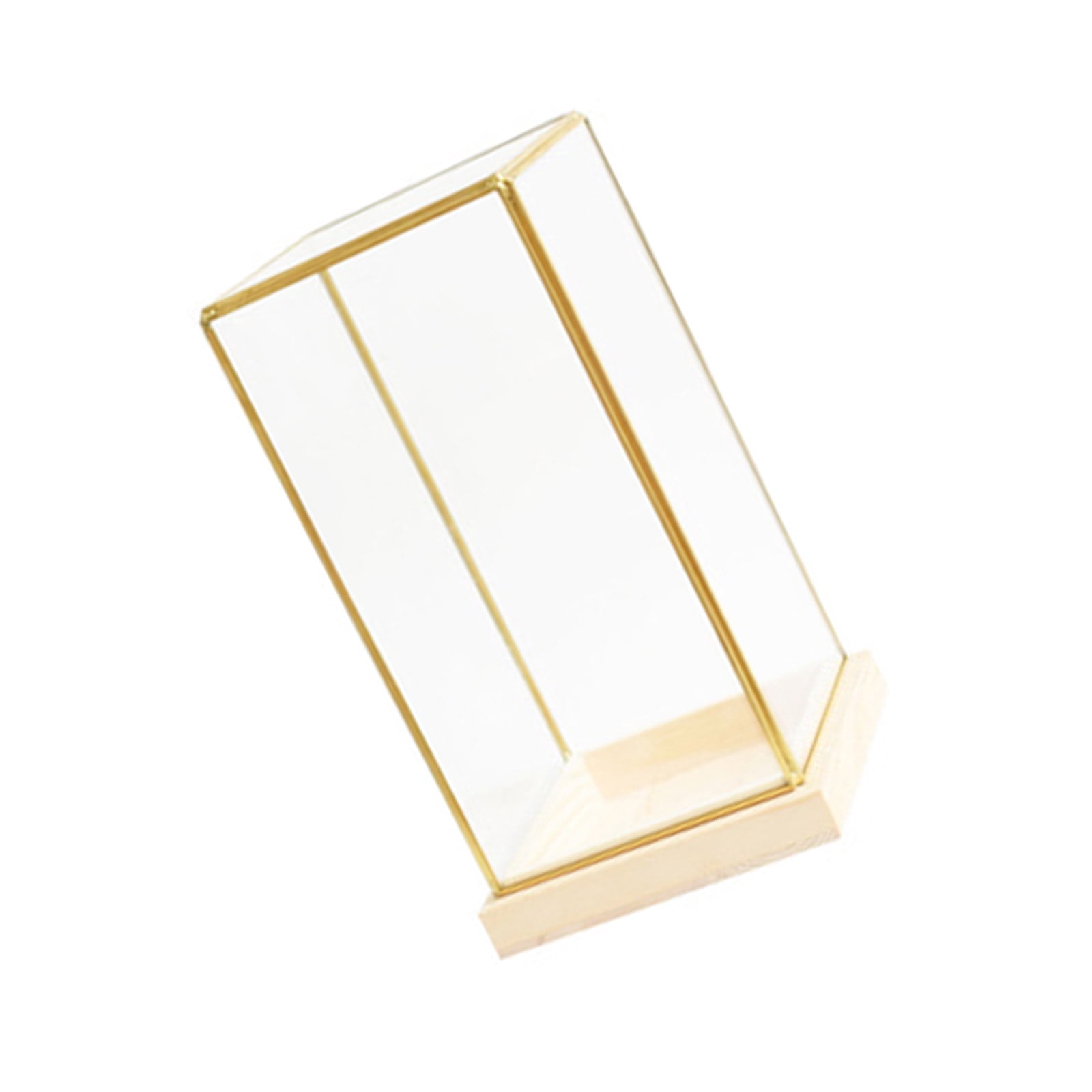 Elegant Display Case for Collectibles Assemble Clear Covers Brass Frame ...