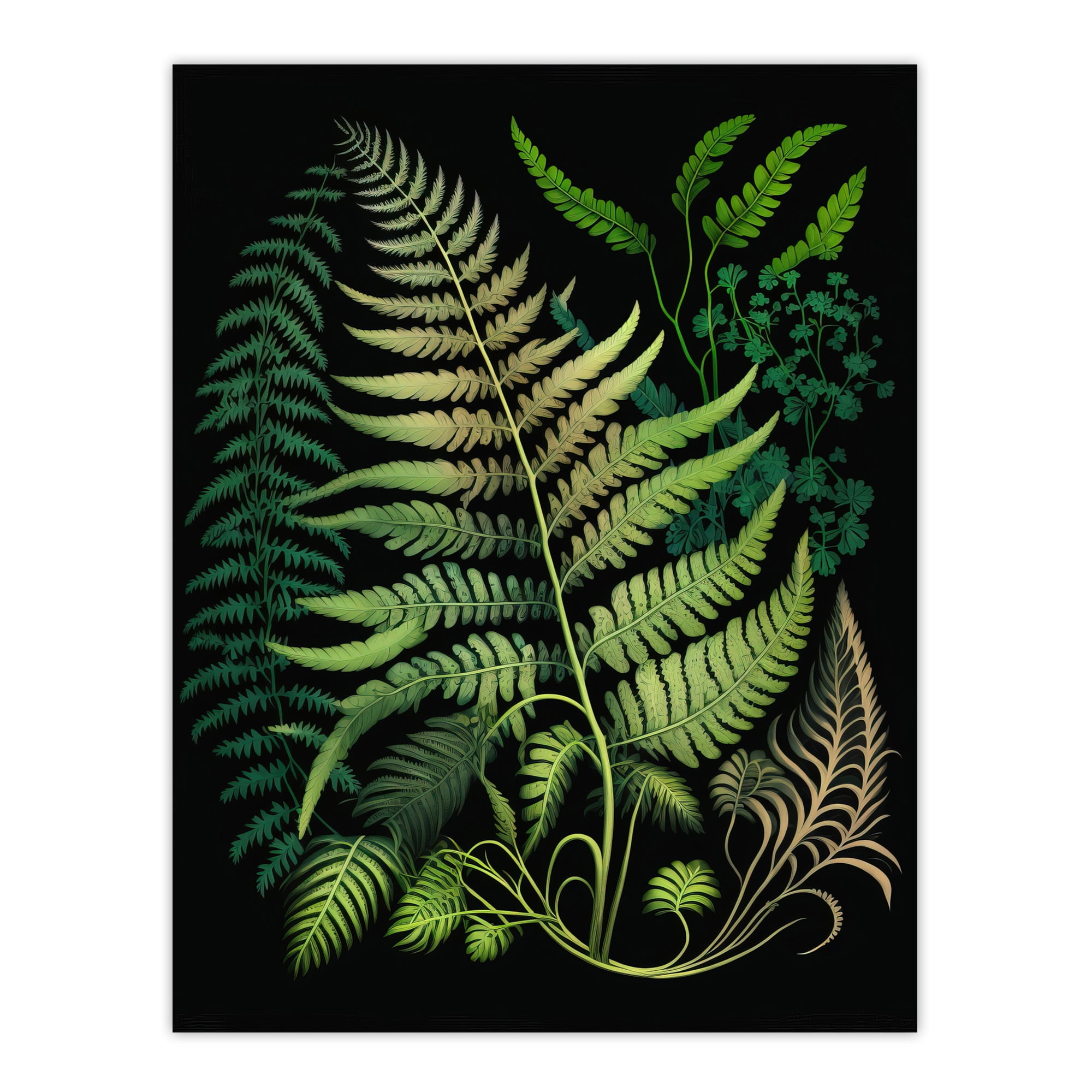Elegant Fern Fronds Botanical Nature Foliage Artwork Green on Black ...