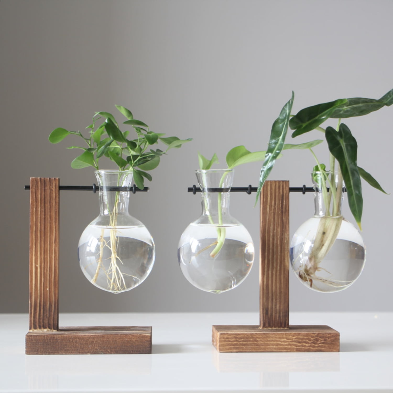 Elegant Glass Hydroponic Flower Pot with Wooden Plant Shelves ...