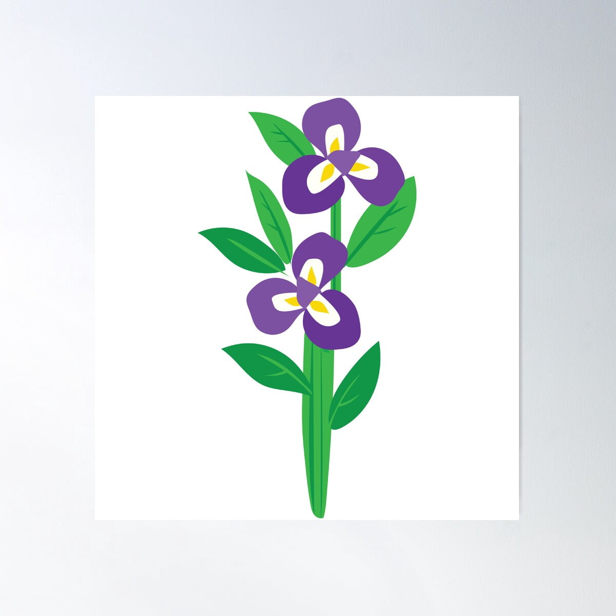 Elegant Iris Flower Design | Graceful & Timeless Botanical Art Poster ...