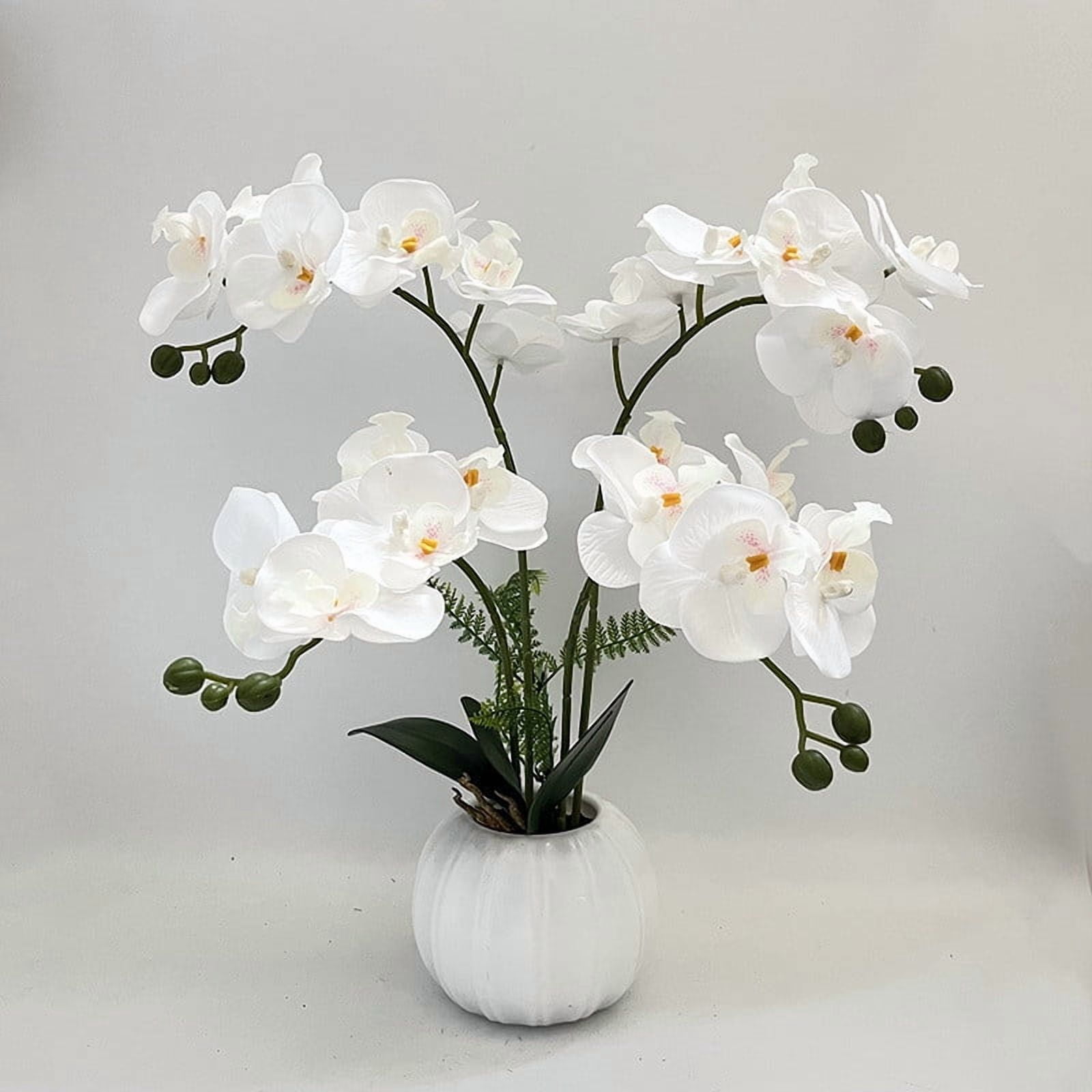 Elegant Realistic Artificial orchid Flowers in Decorative Pot ...