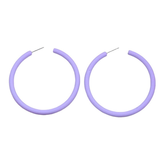 Elegant Round Hoop Earrings Portable Earrings Fashion Earrings Acrylic ...