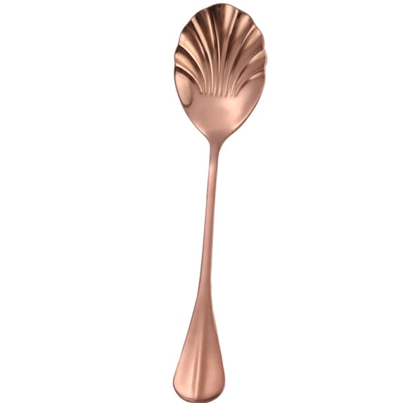 Elegant Shells-Shaped Stainless Steel Spoon with Extended Handle for ...
