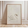 Elegant Swan Minimalist Animal White Bird Serene Nature Bedroom Art ...