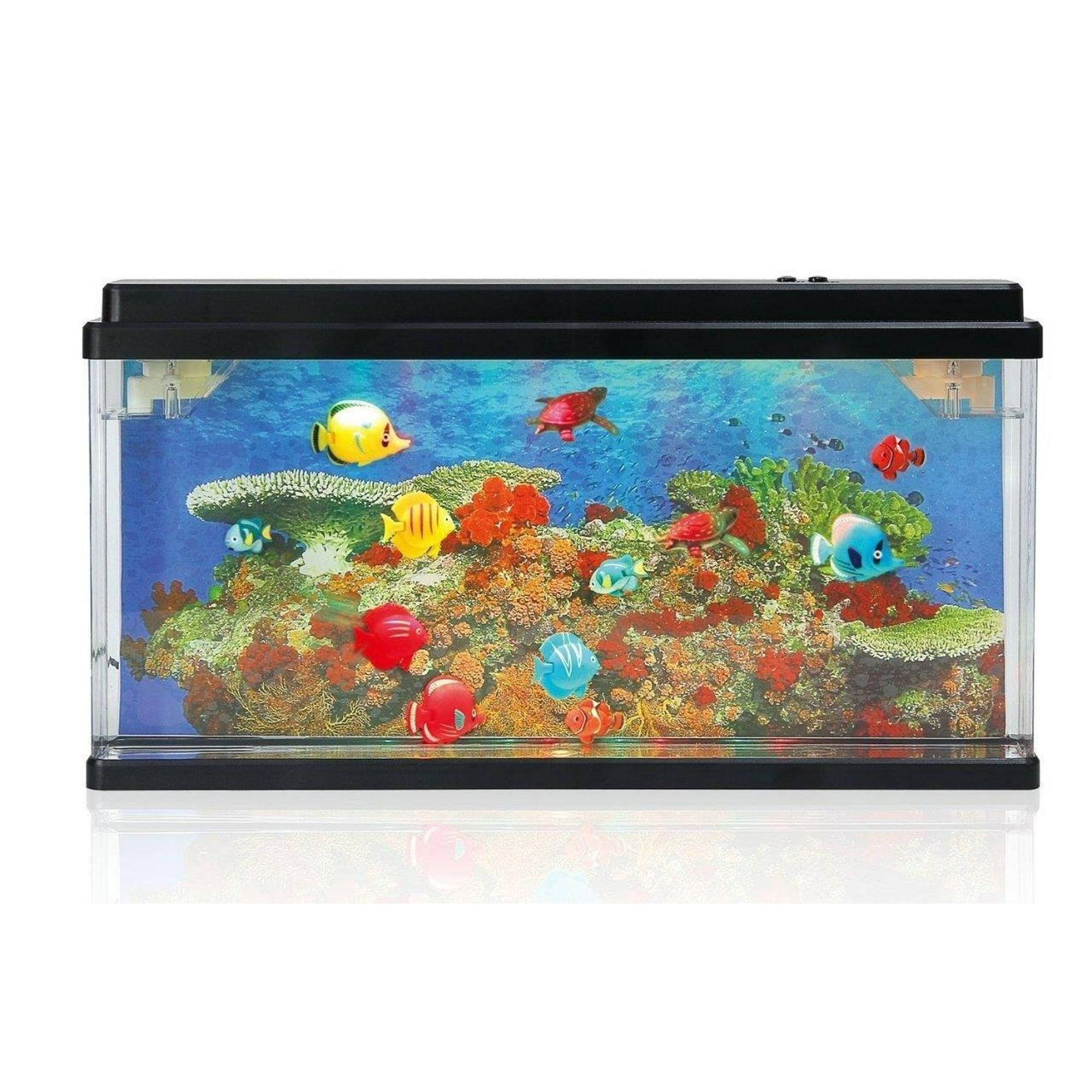 Swimming In A Fish Tank