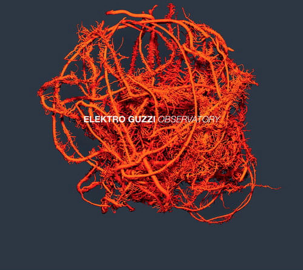 Elektro Guzzi - Observatory - Electronica - CD - Walmart.com