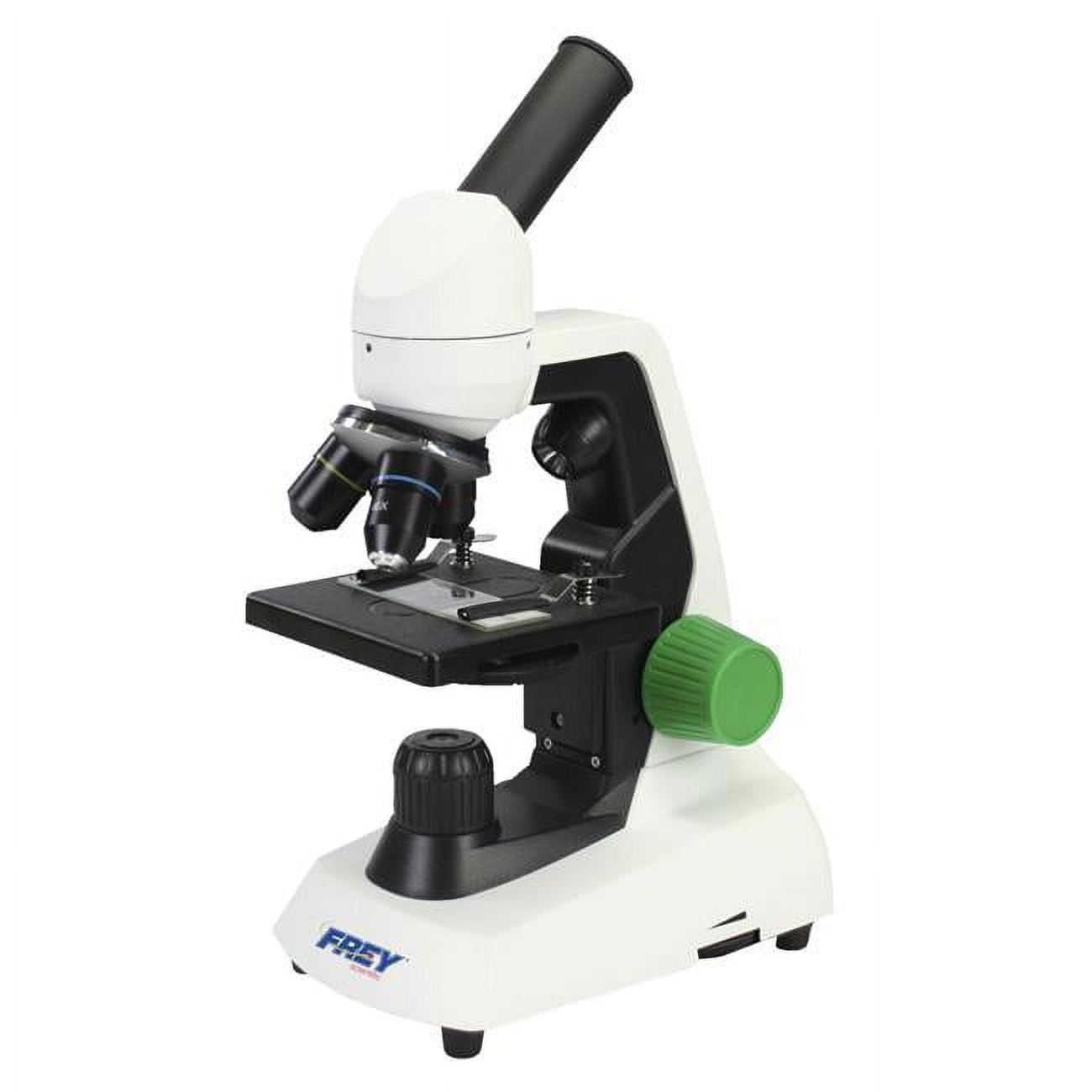 Elementary Basic Compound Microscope - Walmart.com