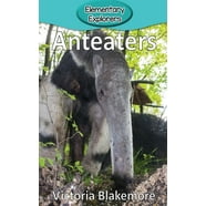 Elementary Explorers: Camels (Hardcover) - Walmart.com