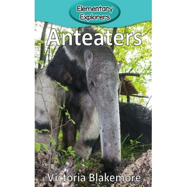 Elementary Explorers: Camels (Hardcover) - Walmart.com