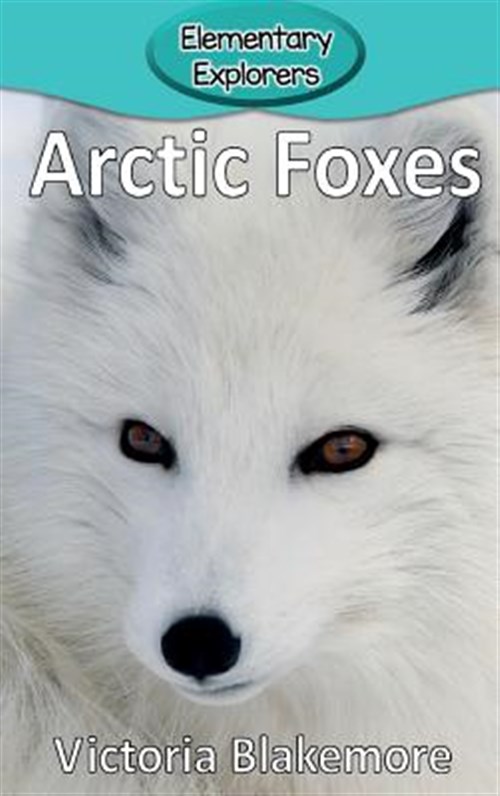 Elementary Explorers: Arctic Foxes (Hardcover) - Walmart.com