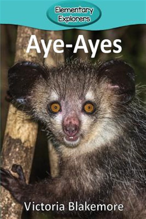 Elementary Explorers: Aye-Ayes (Paperback) - Walmart.com