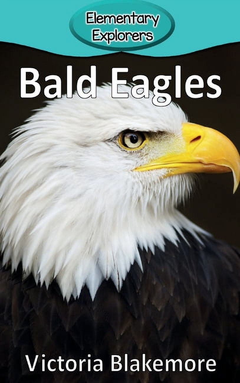 Elementary Explorers: Bald Eagles (Hardcover) - Walmart.com