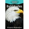 My Little Book of Bald Eagles (Paperback) - Walmart.com