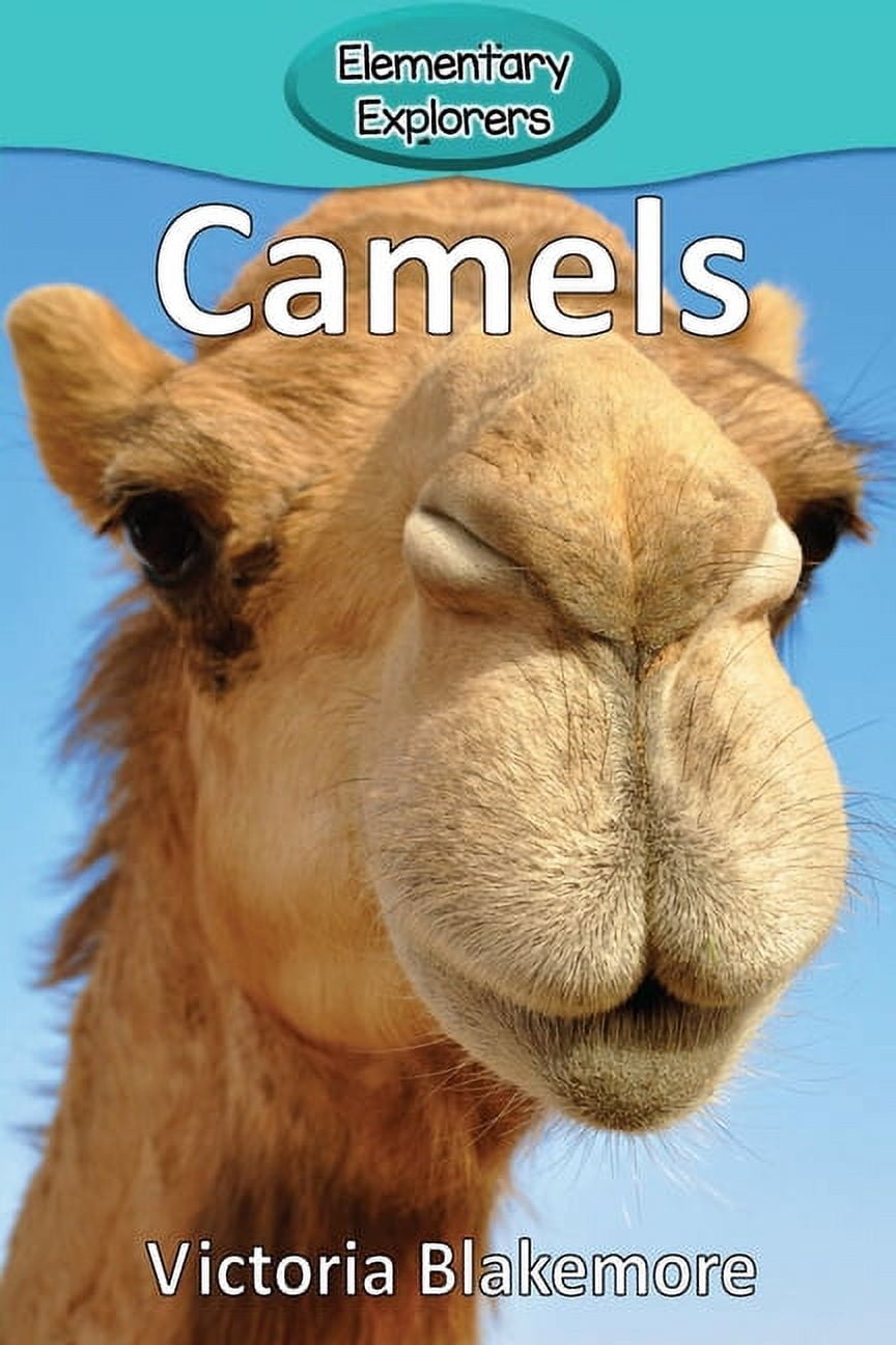 Elementary Explorers Camels, Book 4, (Paperback) - Walmart.com