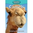 Elementary Explorers Camels, Book 4, (Paperback) - Walmart.com
