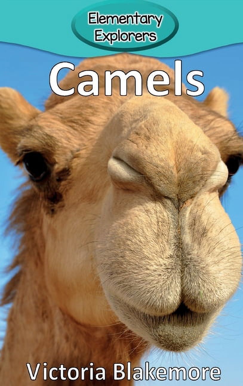 Elementary Explorers: Camels (Hardcover) - Walmart.com