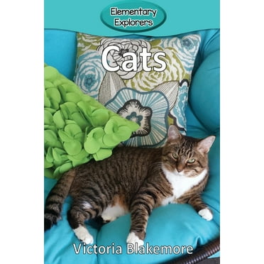 Elementary Explorers: Corn (Paperback) - Walmart.com