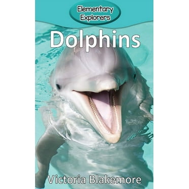 Elementary Explorers: Whale Sharks (Hardcover) - Walmart.com