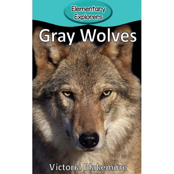 Elementary Explorers Arctic Foxes, Book 19, (Paperback) - Walmart.com