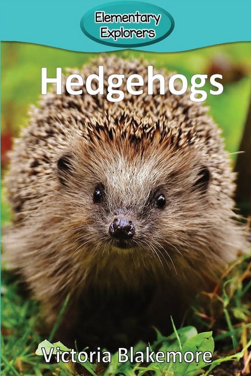 Elementary Explorers Hedgehogs Book 54 Paperback Walmart