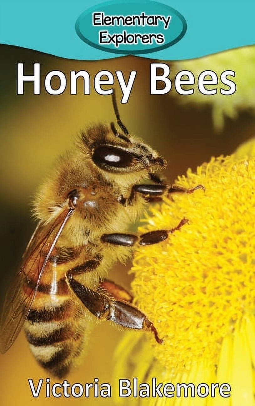 Elementary Explorers: Honey Bees (Hardcover) - Walmart.com