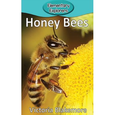 World of Insects: Honey Bees (Paperback) - Walmart.com