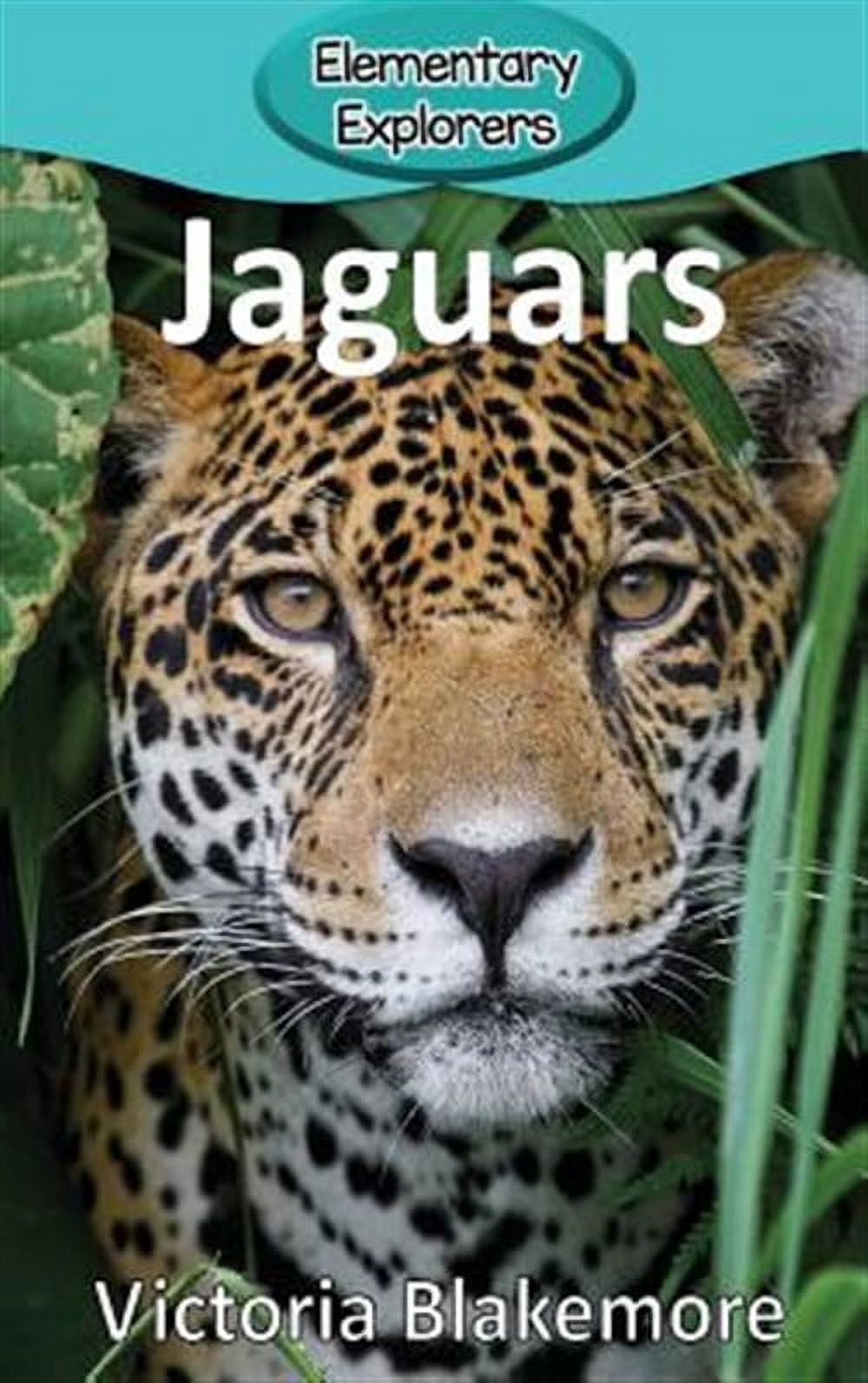 Elementary Explorers: Jaguars (Hardcover) - Walmart.com