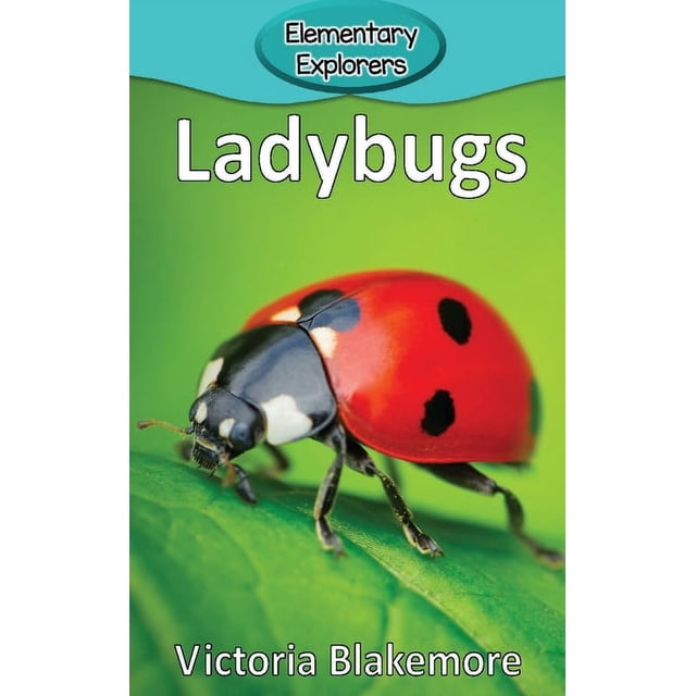 Elementary Explorers: Ladybugs (Hardcover) - Walmart.com
