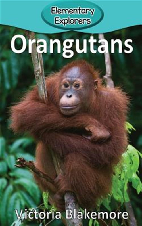 Elementary Explorers: Orangutans (Hardcover) - Walmart.com