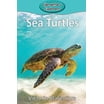 Sea Turtles: Amazing Pictures & Fun Facts on Animals in Nature ...