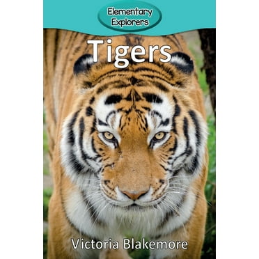 The Tiger Rising (Paperback) - Walmart.com