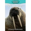 Animals Illustrated Animals Illustrated: Walrus, Book 4, (Hardcover ...